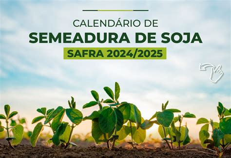 Mapa divulga calendário para Semeadura de Soja de safra 2023 2024 Boa