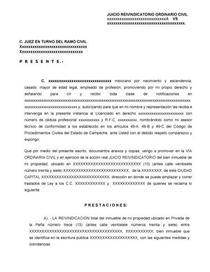 Escrito Solicitando Declare Cerrado El Periodo Probatorio Y Conceda
