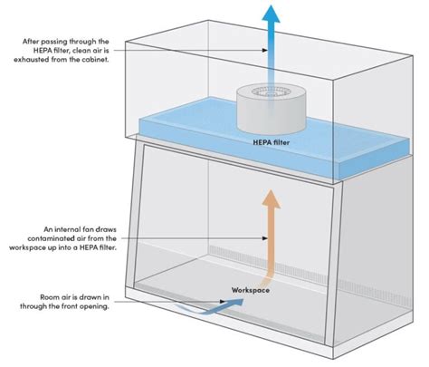 Biological Safety Cabinets BSCs Classes With Examples