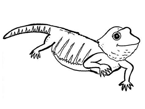Coloriage Lézard Mignon télécharger et imprimer gratuit sur