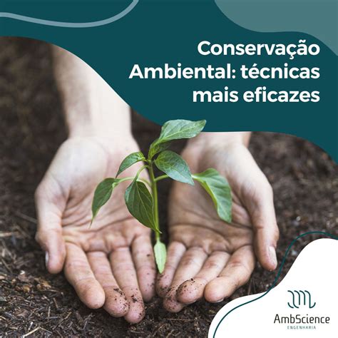 Meio Ambiente Conserva O E Preserva O Fdplearn