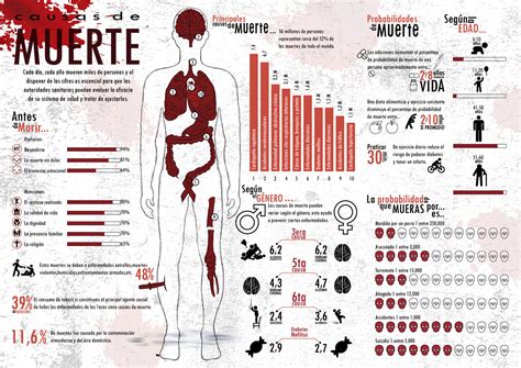 Causas de muerte Infografía Behance