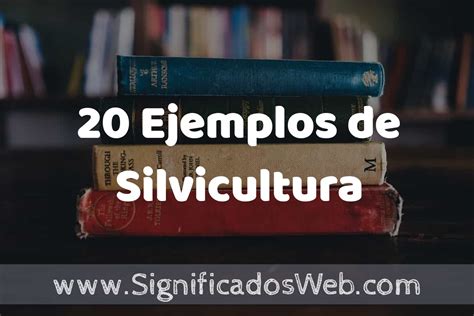 20 Ejemplos de Silvicultura Que es Tipos Características para que