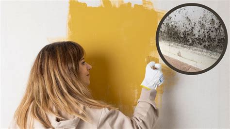 Cómo quitar la humedad de las paredes antes de pintar Ser Zen