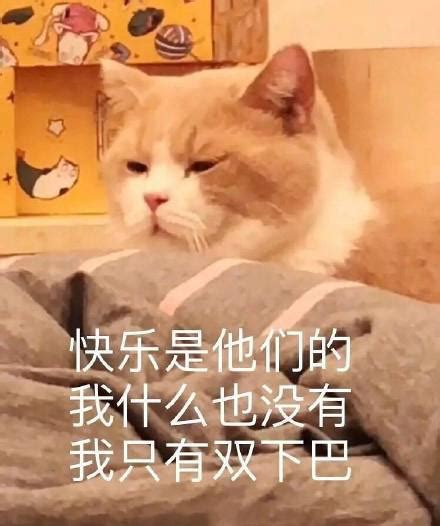 胖子自嘲的表情包曾梦想仗剑走天涯因太胖取消原计划 减肥