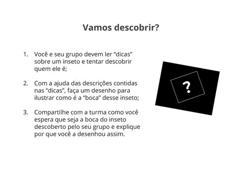 Plano De Aula 3o Ano Os Insetos E Seus Diferentes Aparelhos Bucais