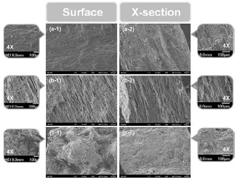 SEM Images At Surface And Cross Sectional Planes And Their Respective