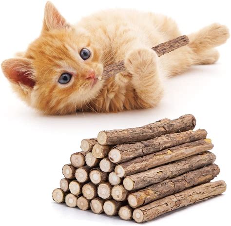 Nobleza Katzenminze Sticks für Katzen Matatabi Stick Katzensticks
