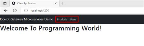 microservices implementation with ocelot gateway using core 6 api and angular 14