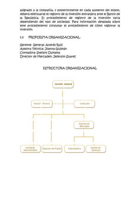Definición estructura organizacional PDF