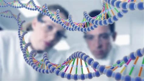 Coronavirus Qu Produce Una Respuesta Inmunitaria M S Fuerte La