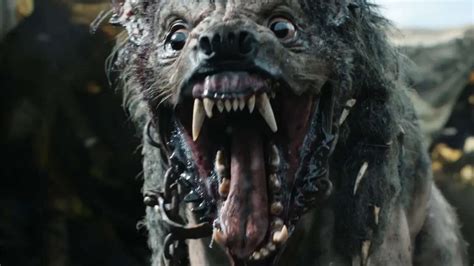 Rings Of Powers Warg Scene Has Fans Raging With Hilarious Comparisons
