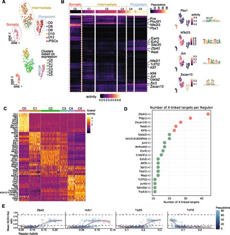 single cell gene regulatory network inference reveals candidate download scientific diagram