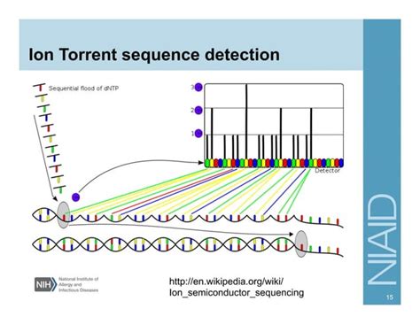 overview of next gen sequencing data analysis