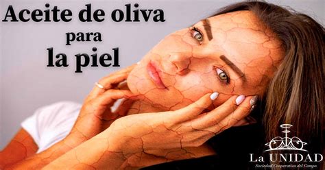 Aceite de oliva para la piel un cosmético natural que todos tenemos en