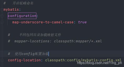 springboot 02 自动装配原理and三种方式 jdbc mybatis mybatisplus 极客之音