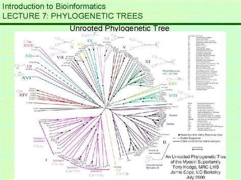 Introduction To Bioinformatics Introduction To Bioinformatics Lecture