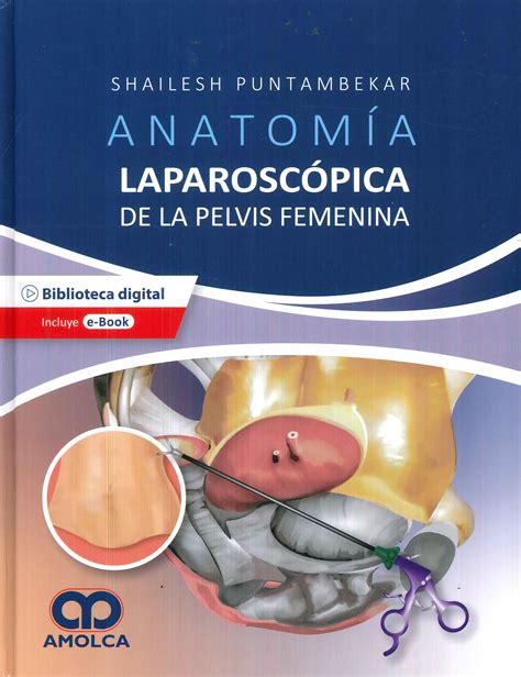 Anatom A Laparosc Pica De La Pelvis Femenina Ediciones T Cnicas