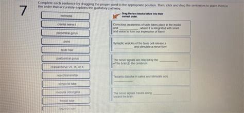 Solved 7 Complete Each Sentence By Dragging The Proper Word Chegg