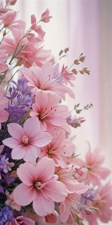 Pin By Torah Ahavat Olam 70 On Wallpapers In 2024 Wallpaper Nature
