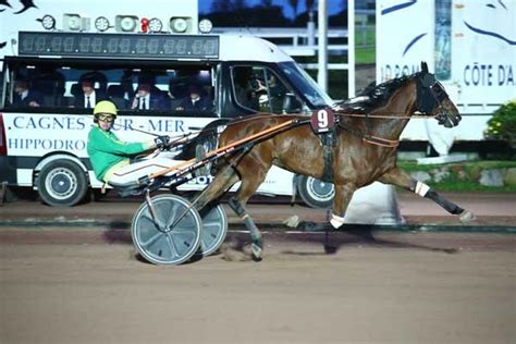 PRIX DE GOLEGA 2024 Partants et Pronostics CAGNES SUR MER Réunion n