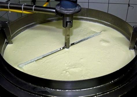 Proceso Productivo del Yogurt Circuito Elaboración y Etapas 2020