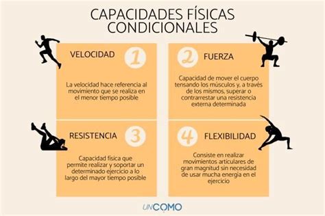 Cu Les Son Las Capacidades F Sicas Condicionales Ejercicios De
