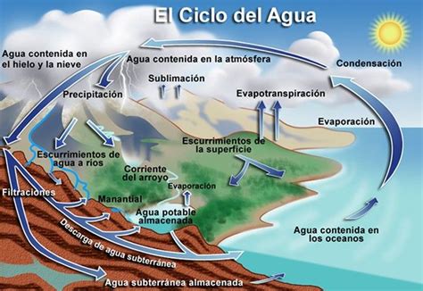 Mapa Mental Dos Ciclos Biogeoquimicos Mema