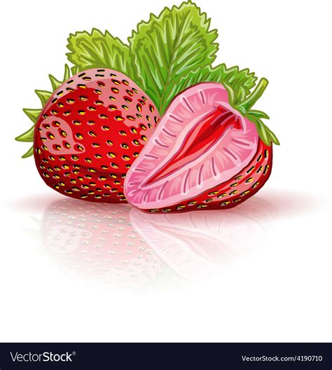 Strawberry Royalty Free Vector Image Vectorstock