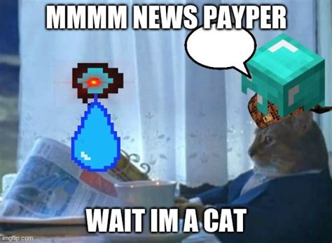 Should Buy A Boat Cat