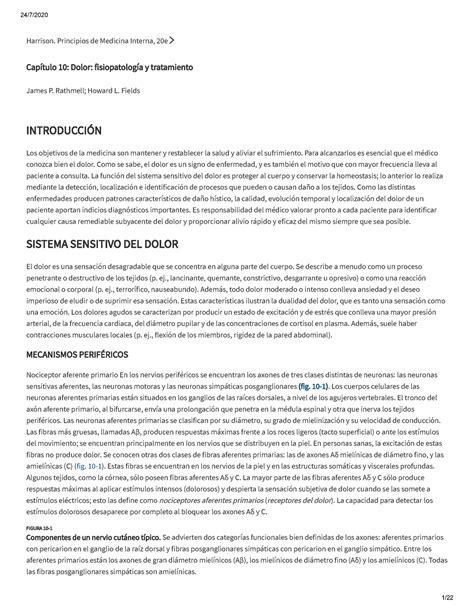 Dolor Fisiopatologia Y Tratamiento Harrison Harrison Principios De