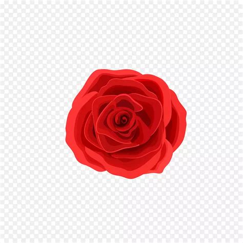 卡通玫瑰花矢量图下载PNG图片素材下载 图片编号dqjvxpgq 免抠素材网