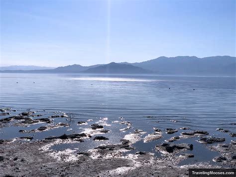 Things To See At The Salton Sea
