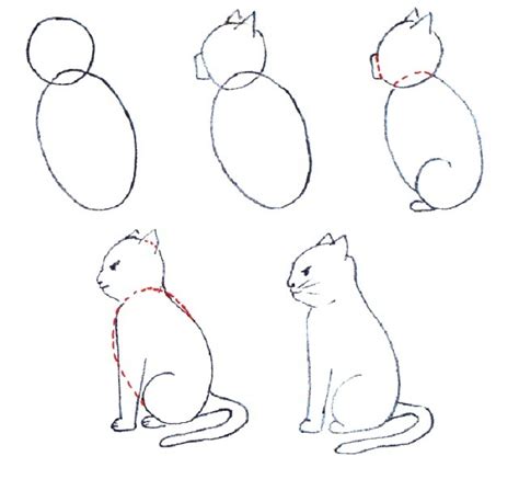 Come Disegnare Un Gatto Gattino Disegni A Matita Semplice In Fasi Per