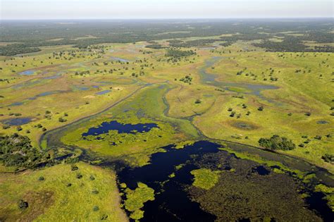 Imagens Do Pantanal WWF Brasil
