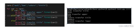 python条件分支和循环语句 python中条件的一个分支是退出 csdn博客