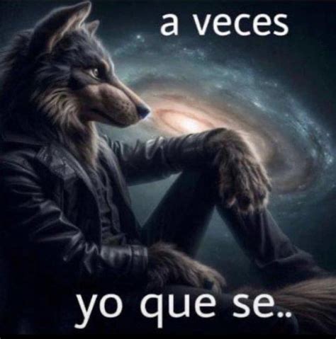 Lobos Meme By Palhacinho Mal Memedroid
