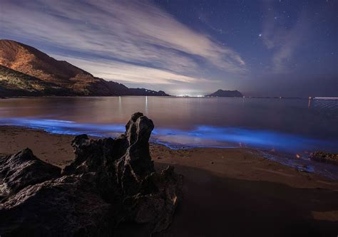 Qué es la bioluminiscencia y dónde puedes ir a verla El vídeo del
