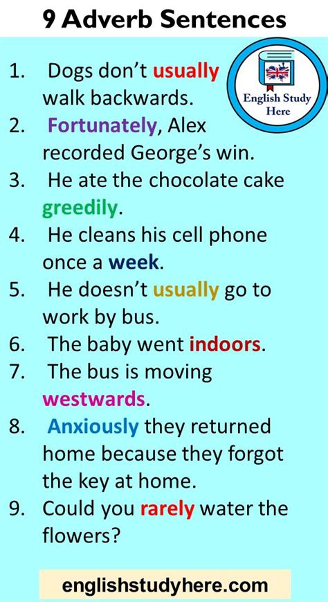 9 Adverb Sentences Example Sentences With Adverbs In English In This