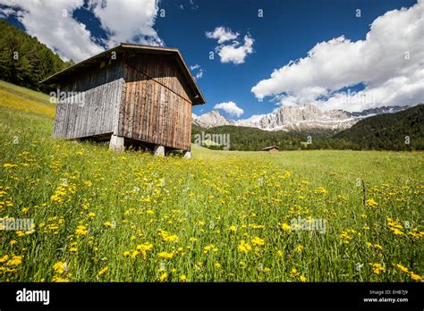 Una Tipica Baita Di Montagna Nella Valle Di Pneumatici Dal Gruppo Del