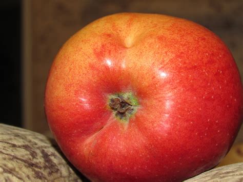 Manzana Fruta Comida Foto Gratis En Pixabay Pixabay
