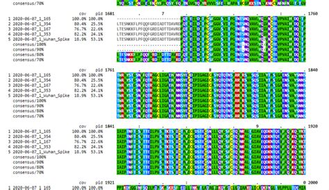 How Could I Explain The Result Of Multiple Sequence Alignment Using