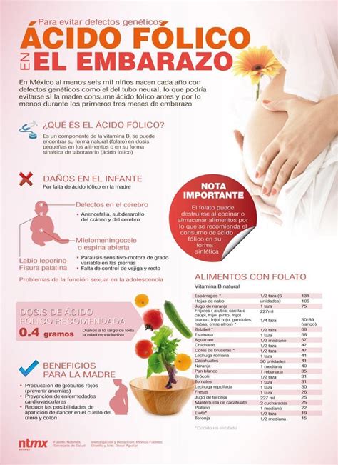Beneficios Del Cido F Lico Para Mujeres Mejora Tu Salud Y Fertilidad