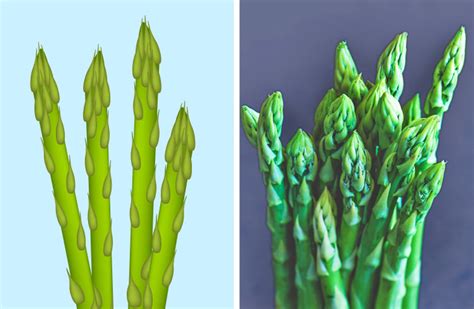 Guía de plantas silvestres comestibles Ideas En 5 Minutos
