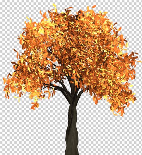 Descarga gratis árbol de naranjo hoja de otoño árbol de color árbol