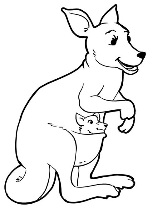 Desenhos De Canguru Para Colorir Bora Colorir