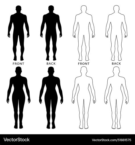 Naked Standing Man Woman Bald Silhouette Vector Image