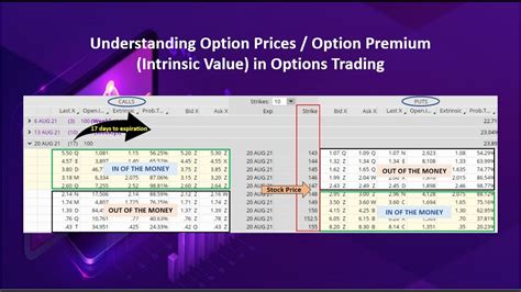 Stock Options For Beginners Options Premium Price In Options