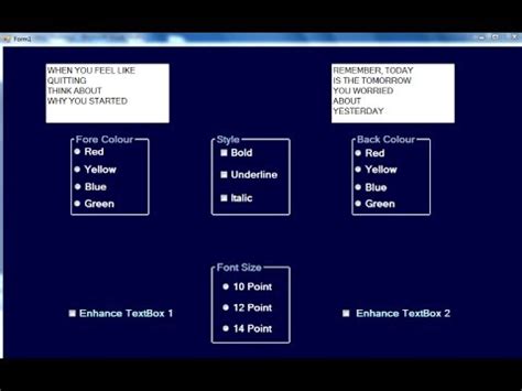 Visual Basic Net TextBox CheckBox And Radio Buttons Tutorial YouTube