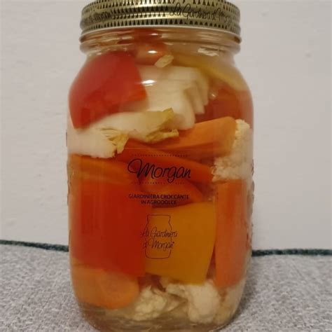 La Giardiniera Di Morgan Reviews Abillion